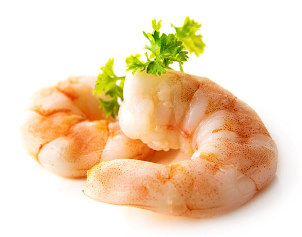 Descubre la variedad y calidad en nuestros productos - Froxá
